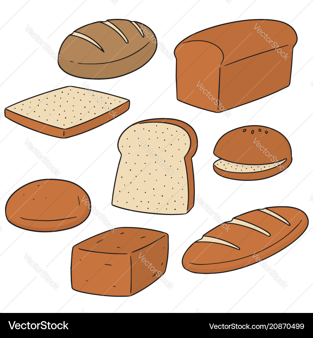 Set of bread Royalty Free Vector Image - VectorStock