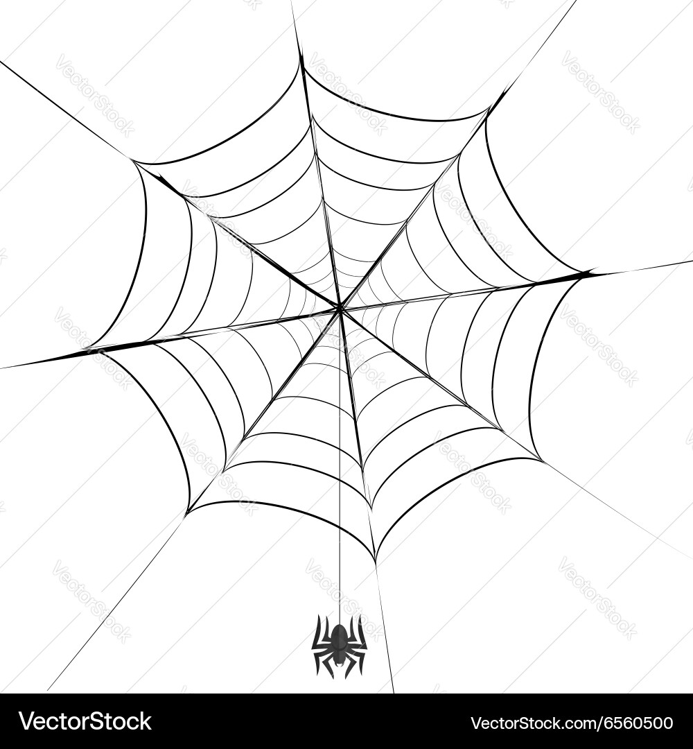 Polygonal grey spider and her cobweb Royalty Free Vector