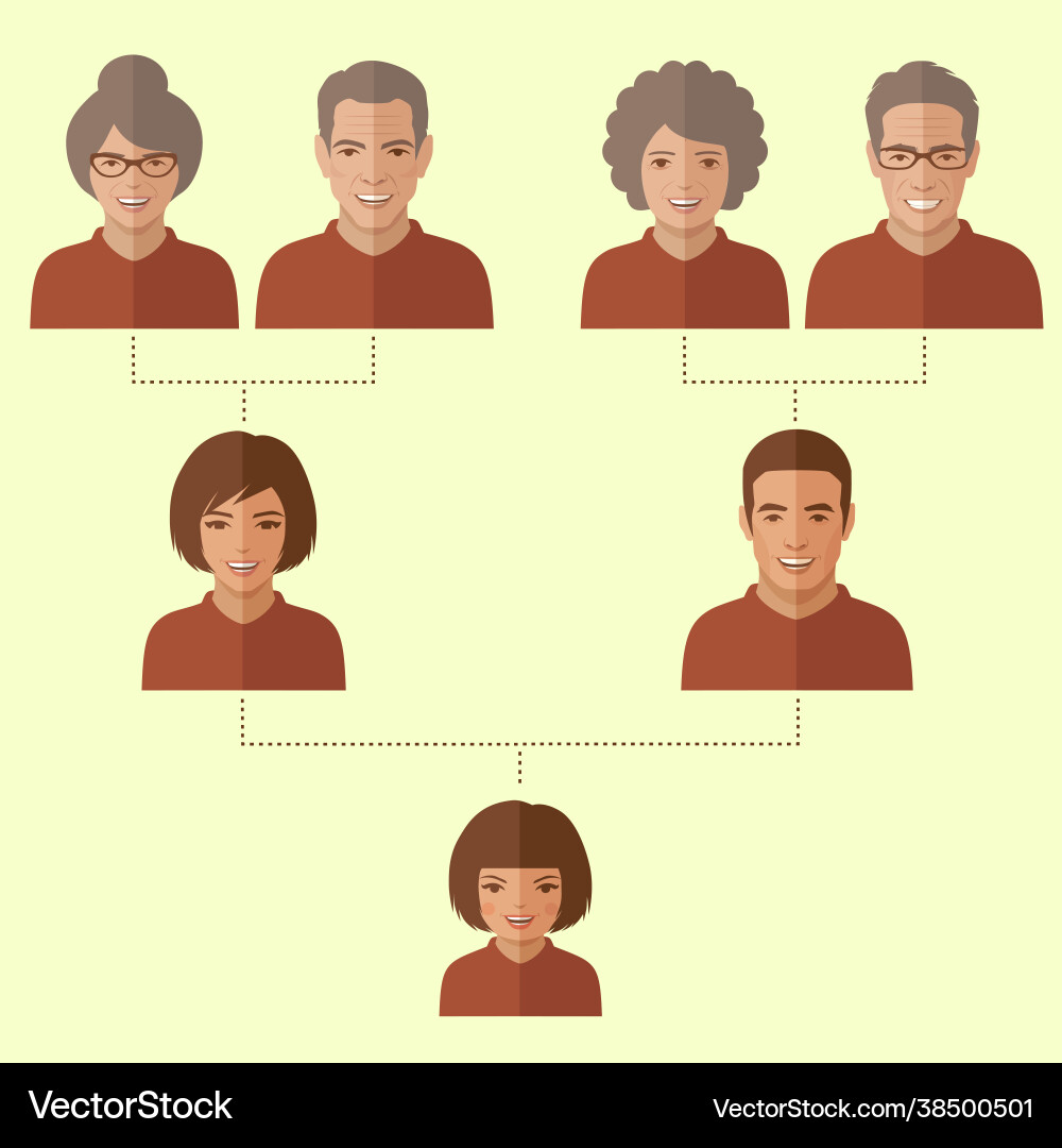 Family tree people Royalty Free Vector Image - VectorStock