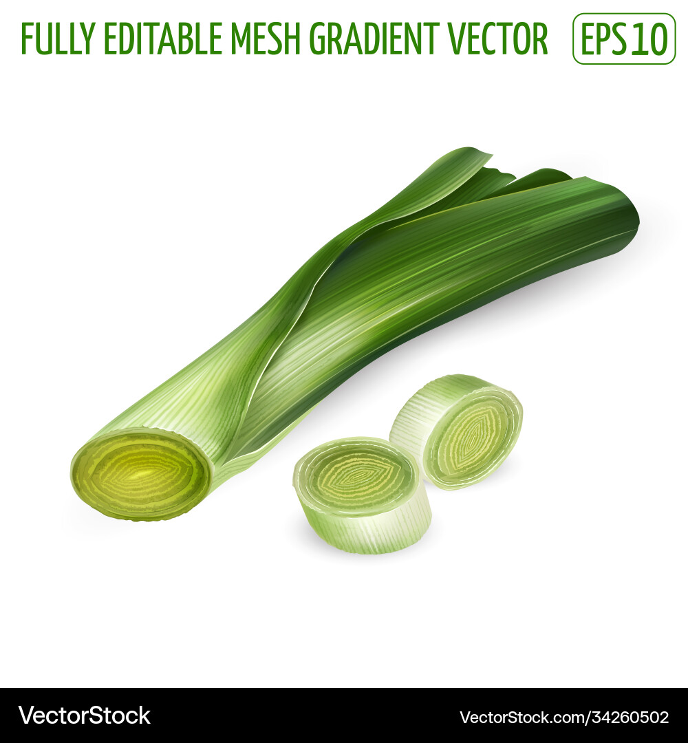 Fresh leek slices on white background Royalty Free Vector
