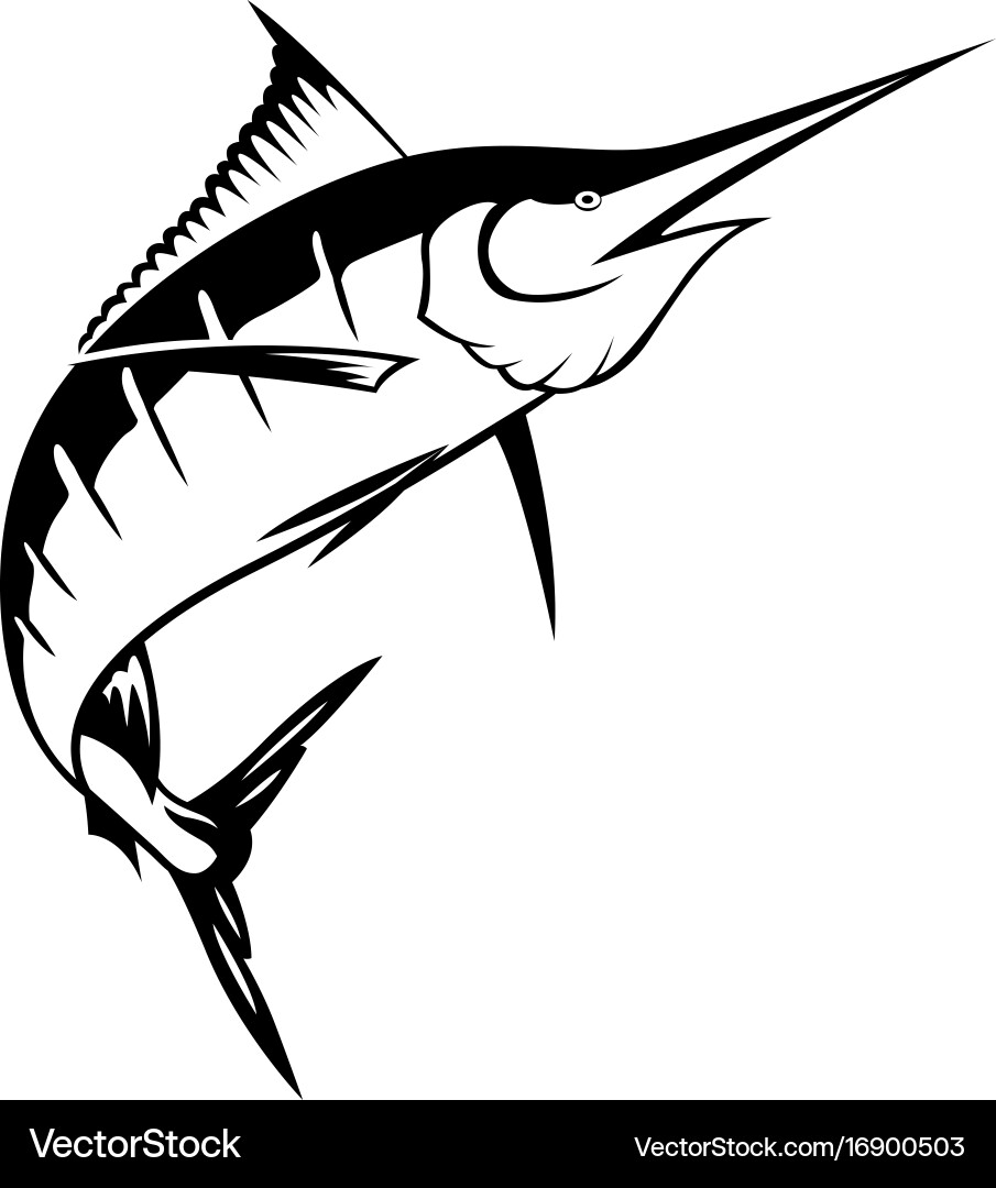 Graphic marlin Royalty Free Vector Image - VectorStock