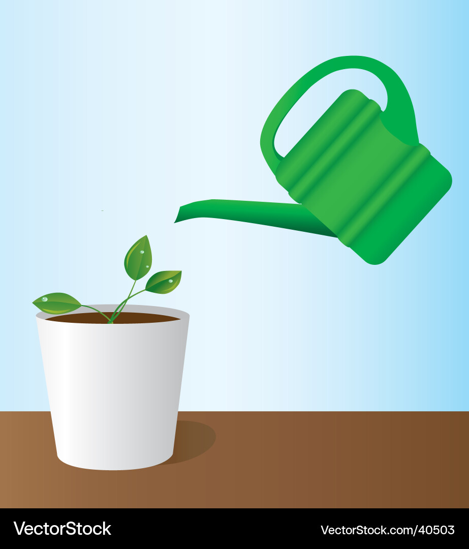 Growing Plant in Pot Royalty Free Vector Image