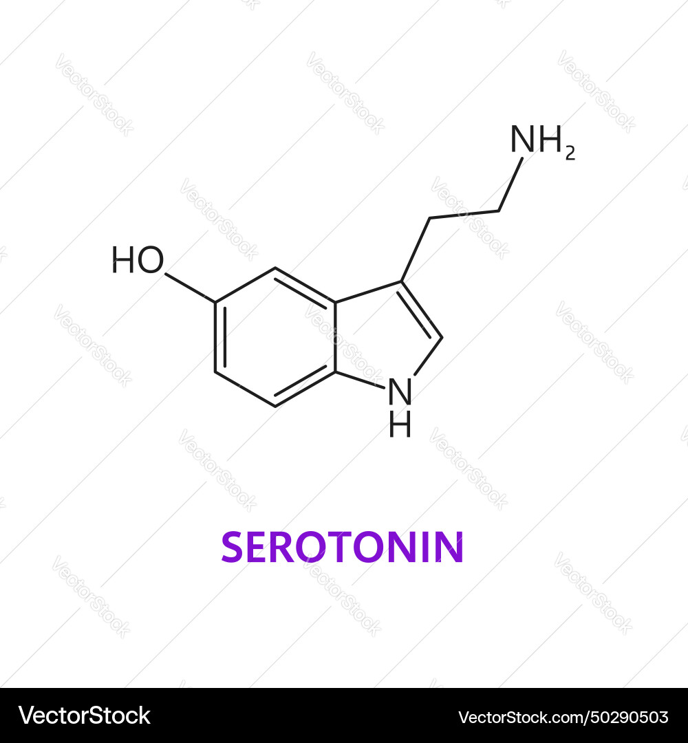 Serotonin Chemical Structure Royalty Free Vector Image