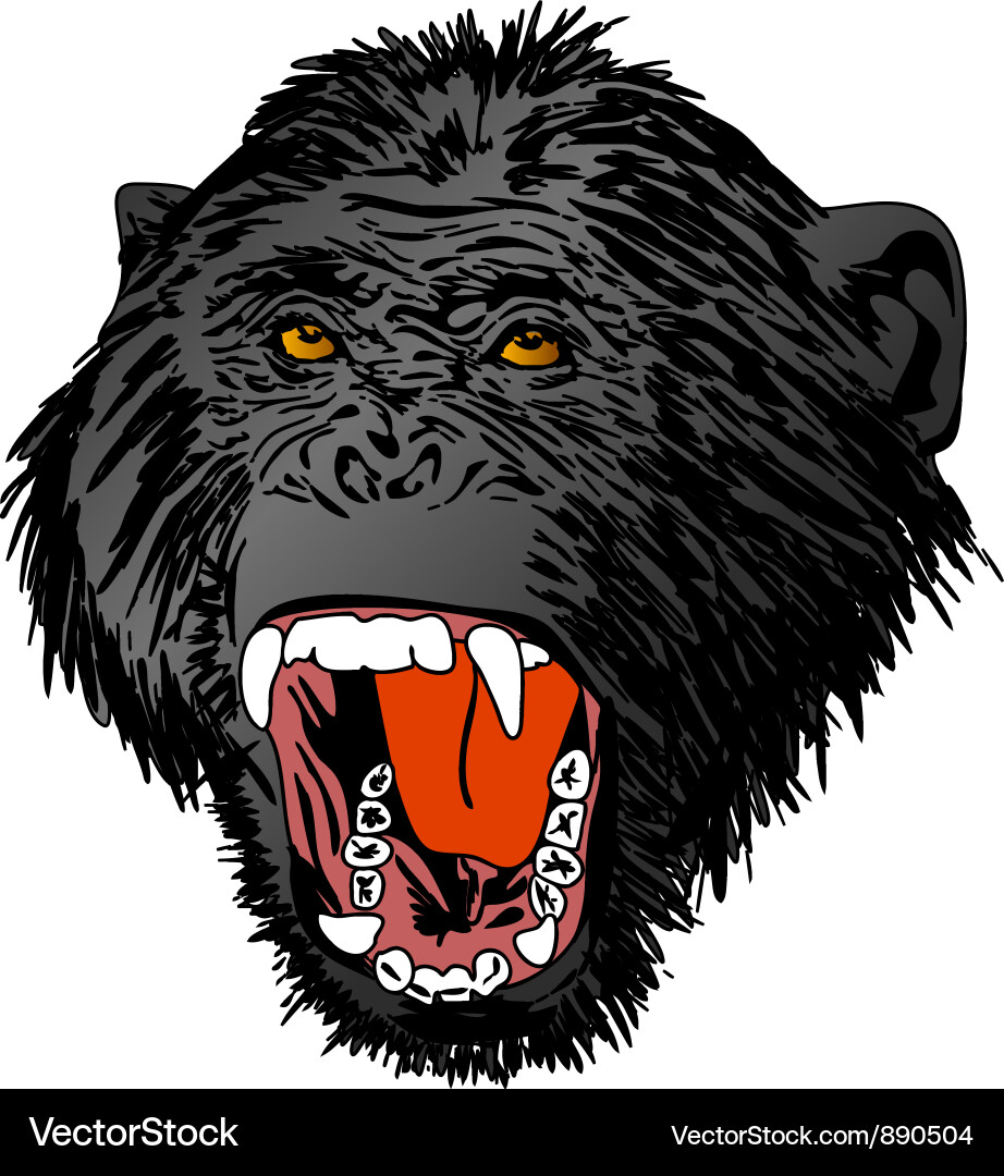 Angry ape monkey gorilla Royalty Free Vector Image