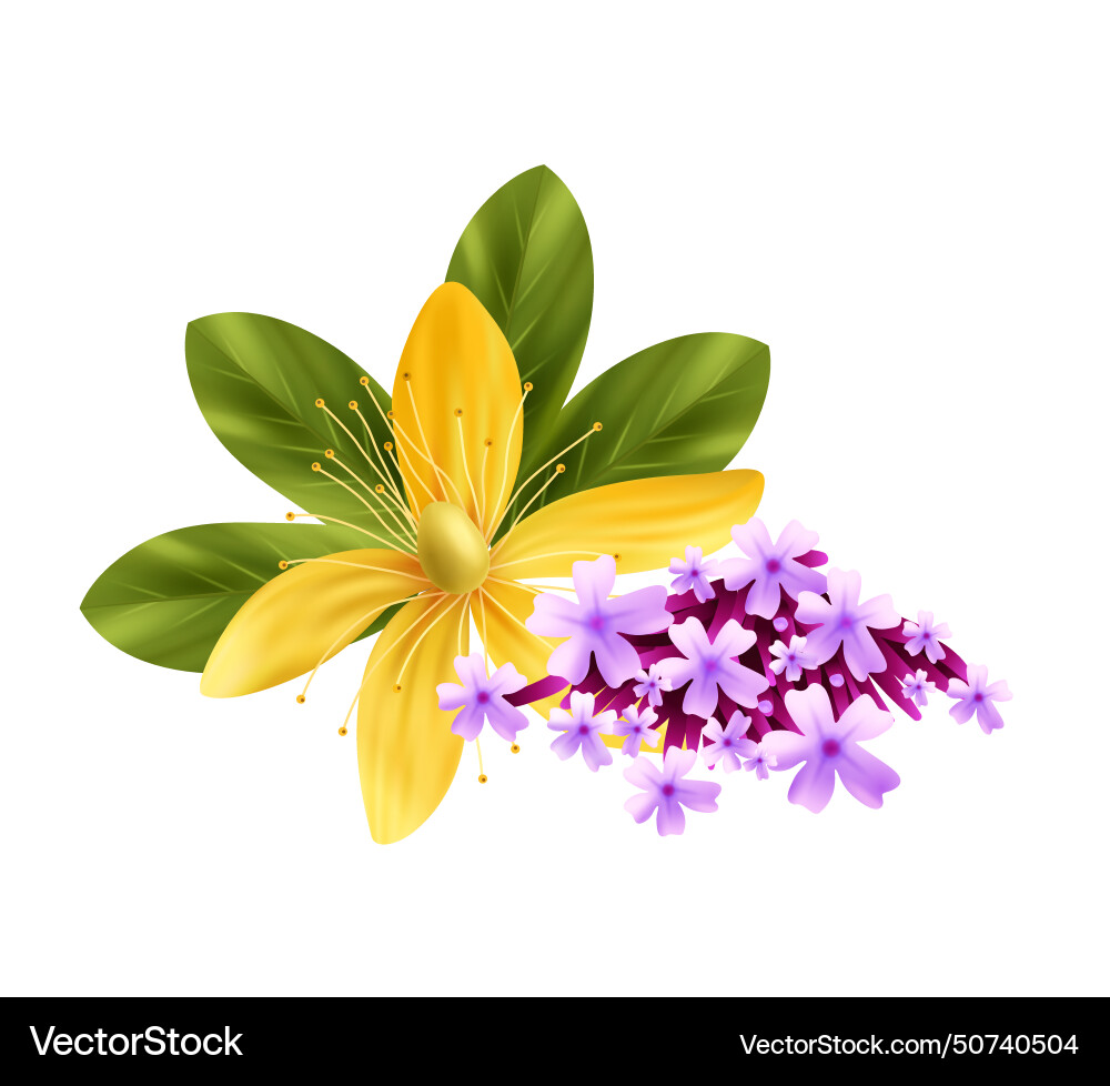 Herbs realistic icon Royalty Free Vector Image