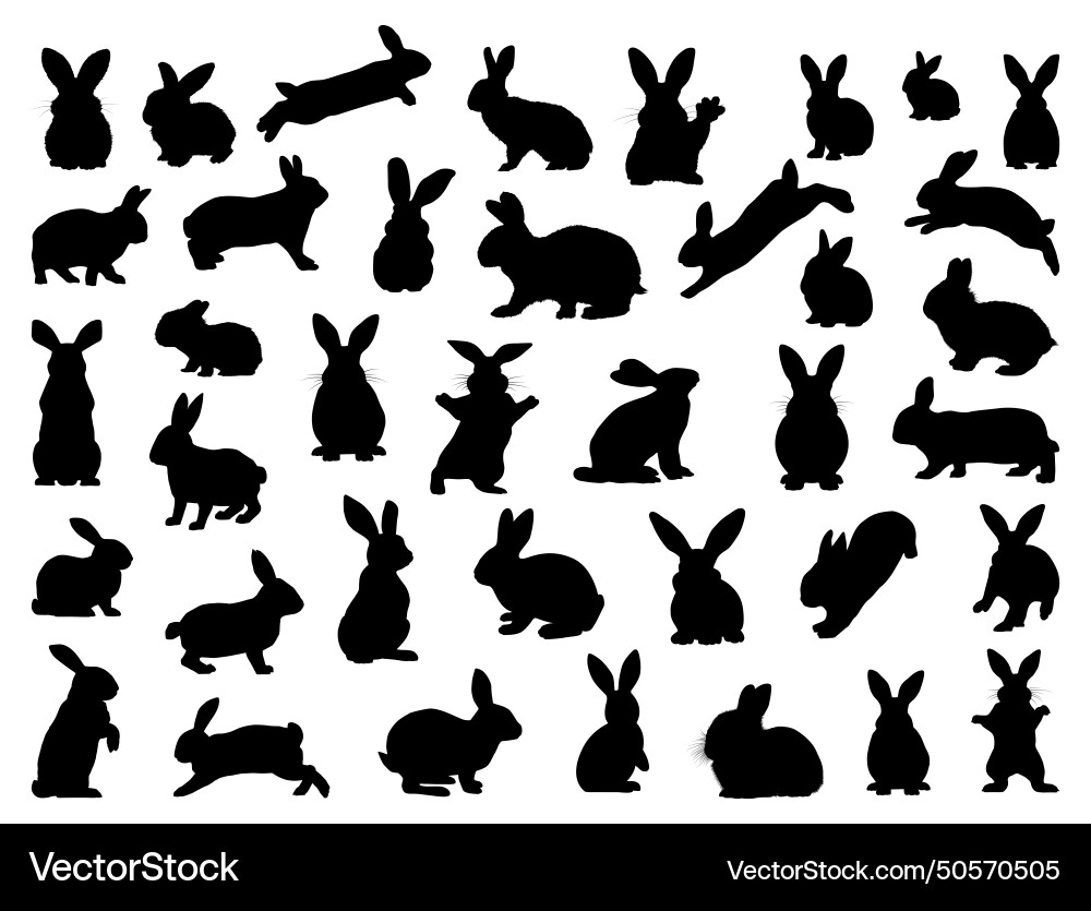 Bunny rabbit silhouette Royalty Free Vector Image
