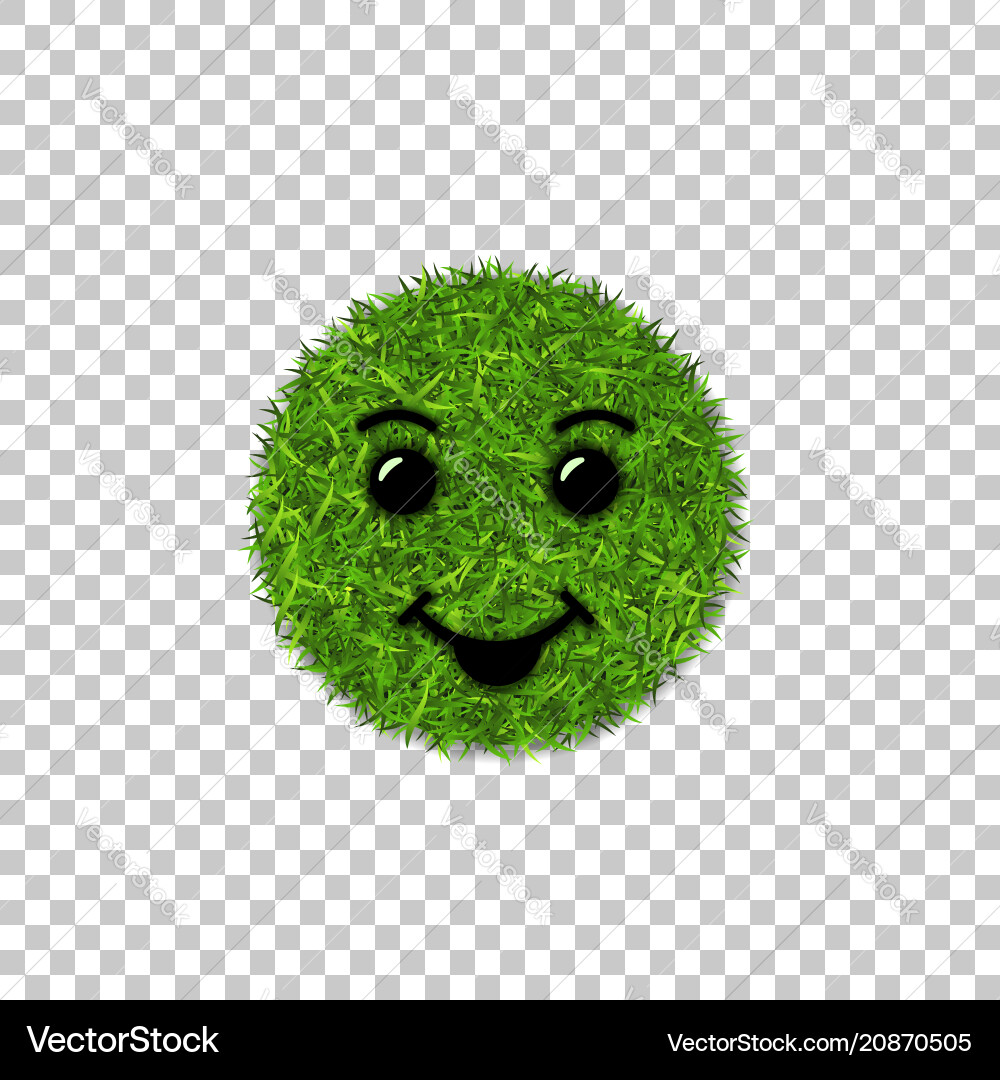 Green grass circle field 3d face smile smiley Vector Image