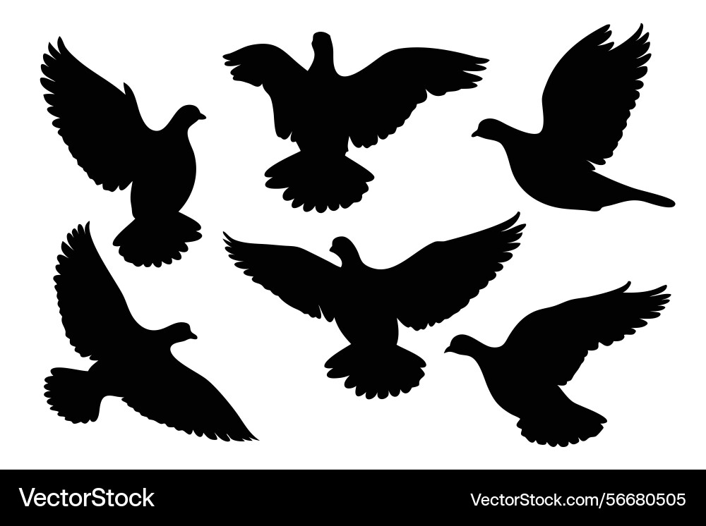 Quail flying silhouettes set isolated flat Vector Image