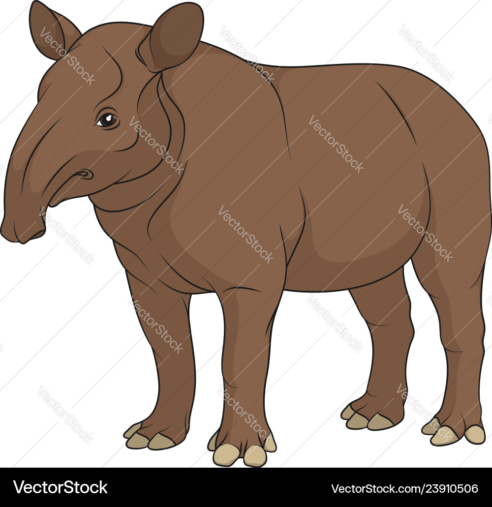 Color of a plain tapir Royalty Free Vector Image
