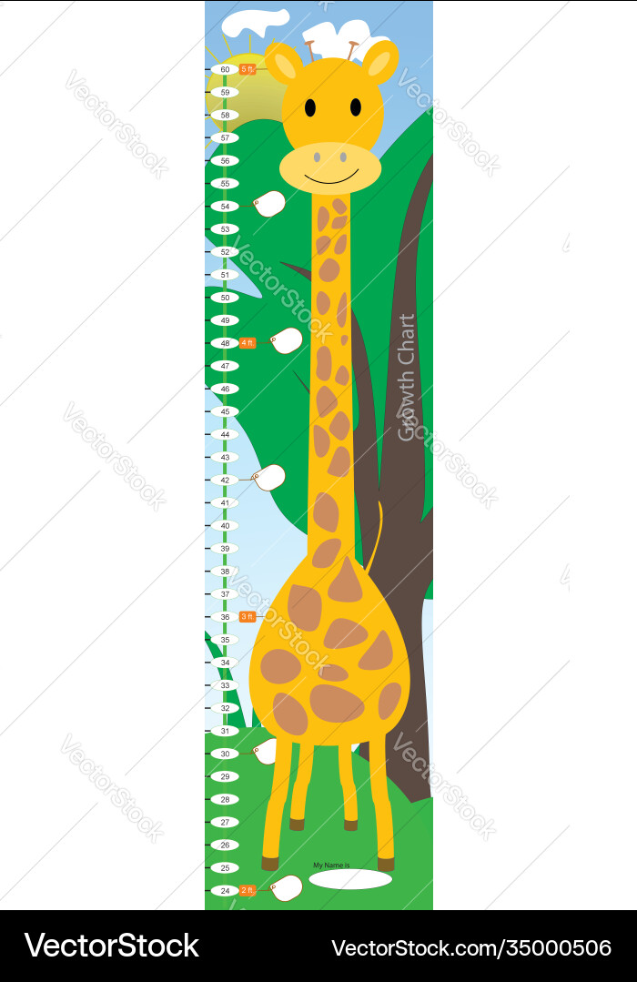 Giraffe growth chart Royalty Free Vector Image