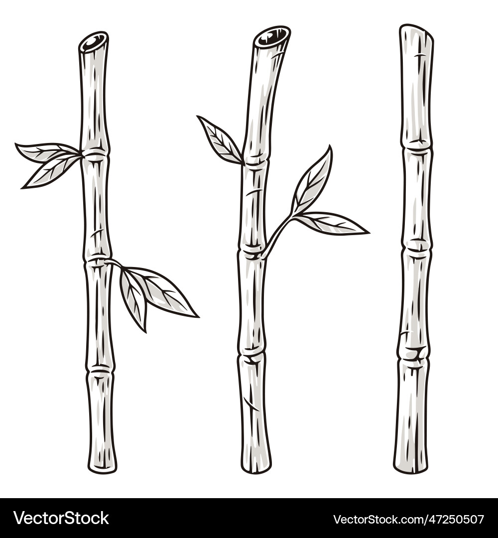 Bamboo sticks monochrome set element Royalty Free Vector
