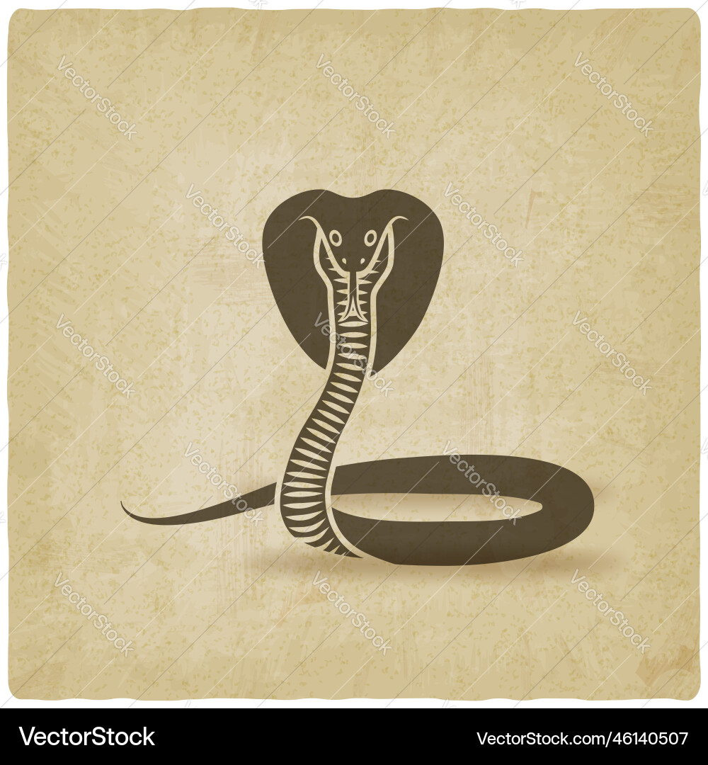 Cobra with Spread Hood - Dangerous Reptile Vector Image