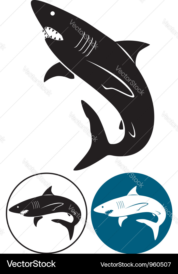 Haifisch Lizenzfreies Vektorbild - VectorStock