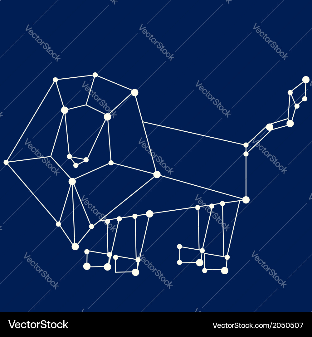 Leo zodiac sign Royalty Free Vector Image - VectorStock