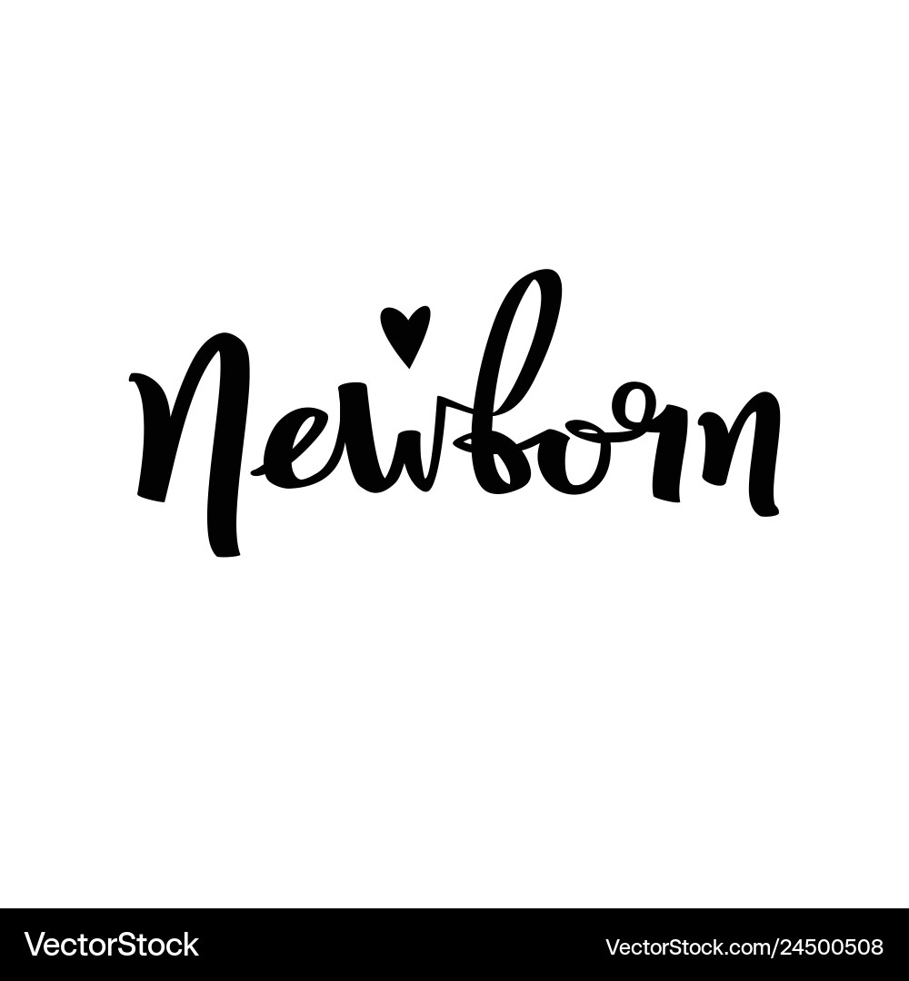 Handwritten lettering word newborn isolated Vector Image
