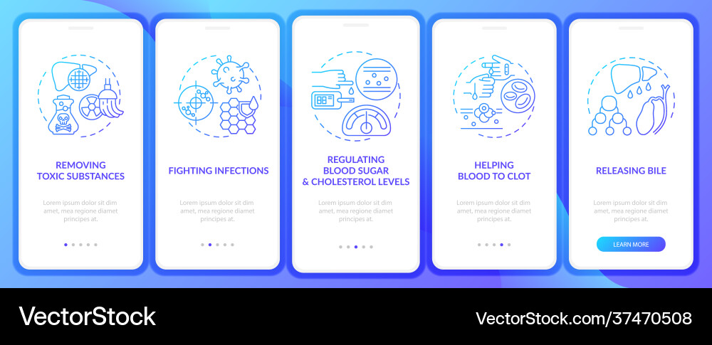 Liver responsibilities onboarding mobile app page Vector Image