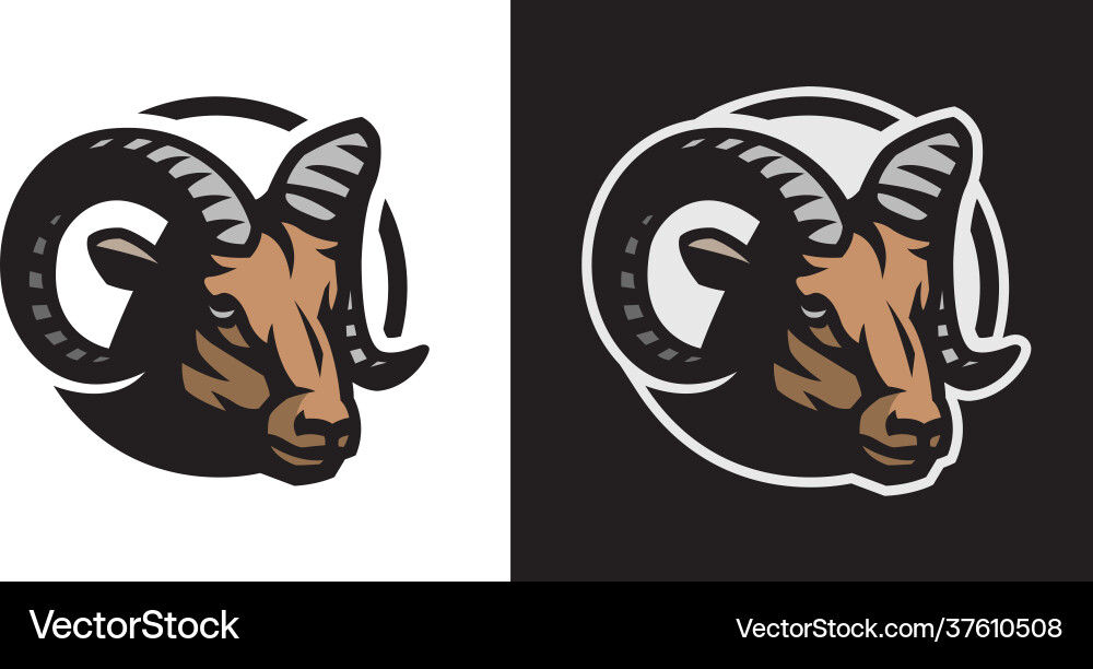 Ram head logo on a light and dark background Vector Image