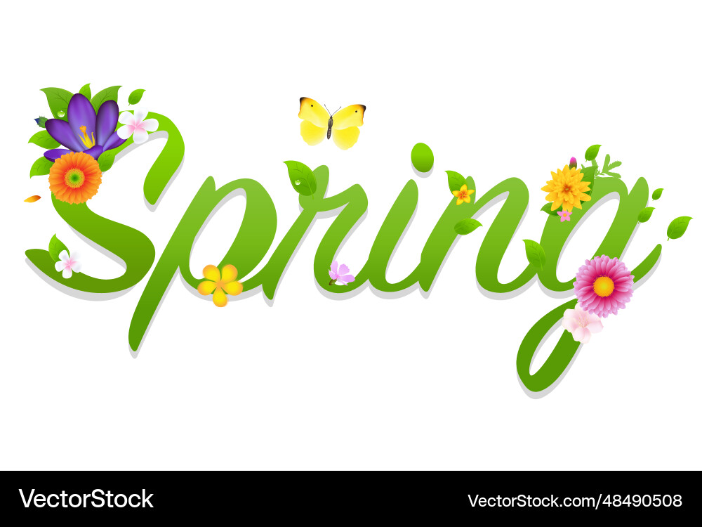 Spring text and isolated white background Vector Image