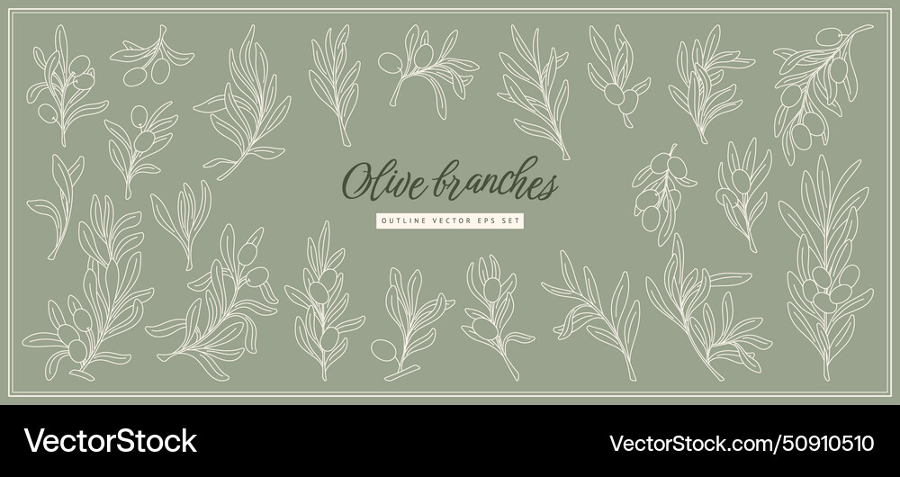 Olive branch line plant leaf greek tree leaves Vector Image