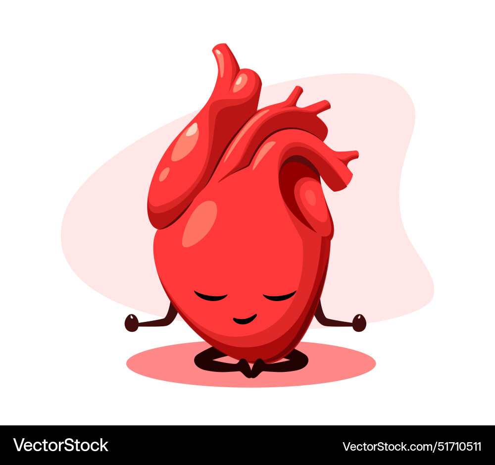 A human heart Royalty Free Vector Image - VectorStock