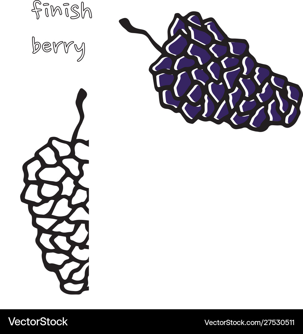 Berry color hand drawn set fruit botany berries Vector Image