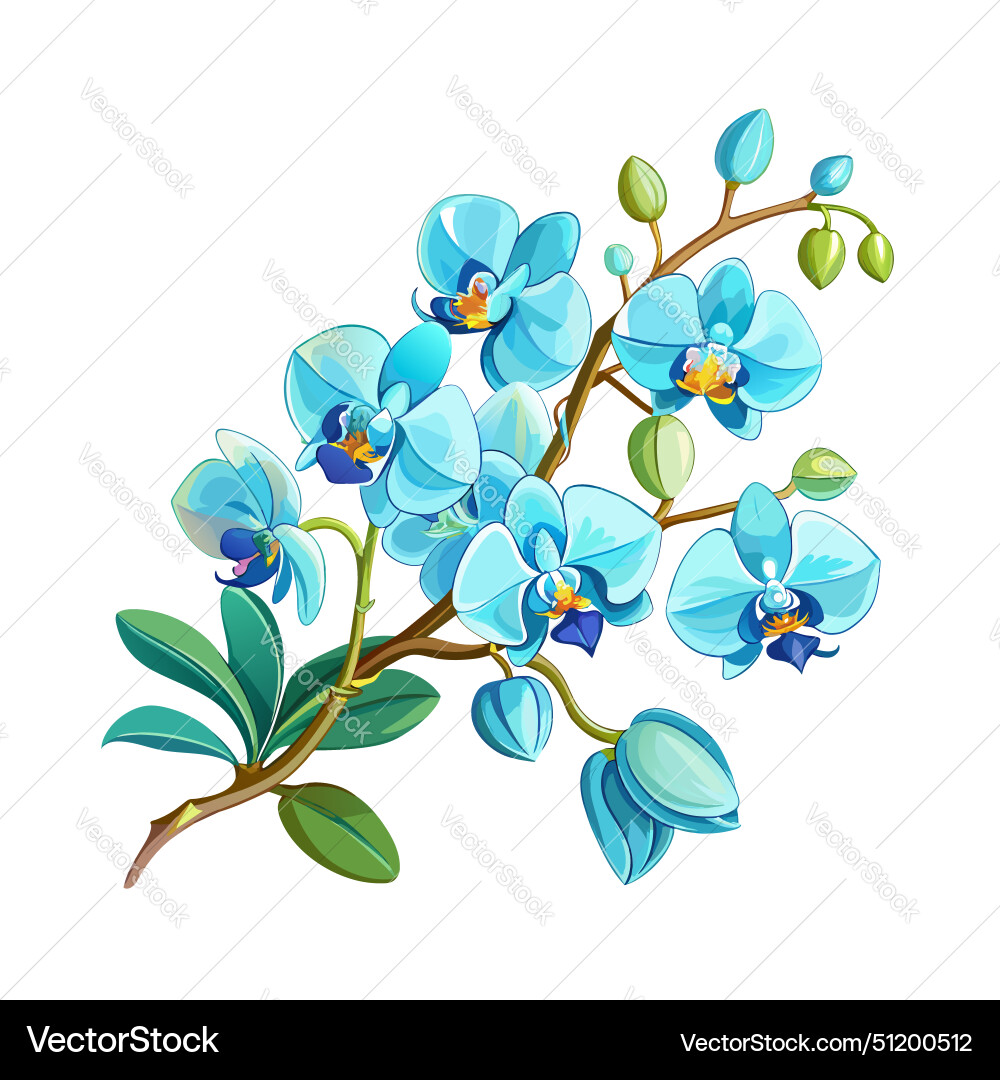 Flower exotic blue orchid branch Royalty Free Vector Image