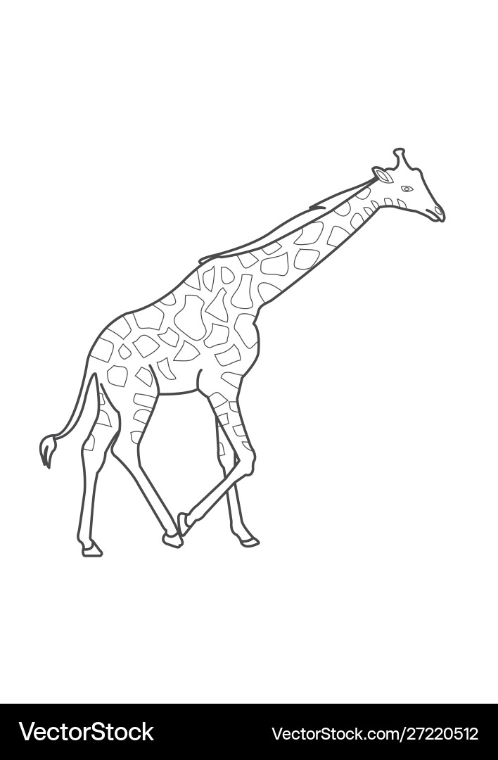 Giraffe Malvorlage für Kinder Lizenzfreies Vektorbild