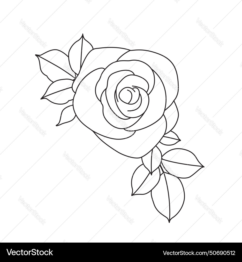 Rose flower with leaves linear drawing Royalty Free Vector