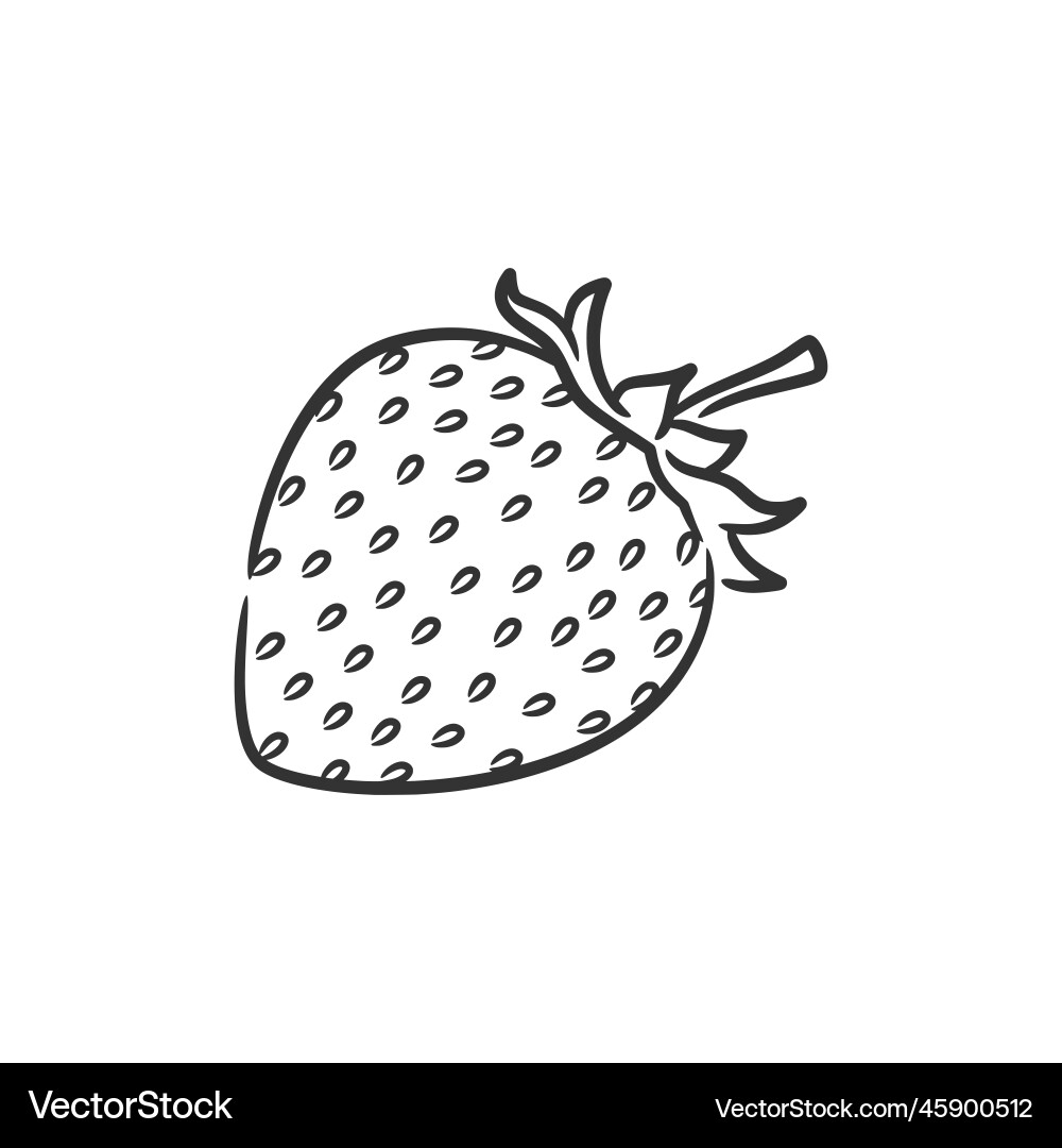 Strawberry line art Royalty Free Vector Image - VectorStock