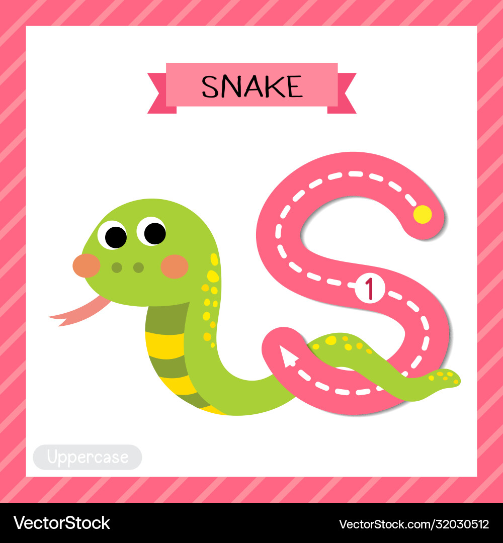 Uppercase S - Green Snake Tracing Royalty Free Vector Image