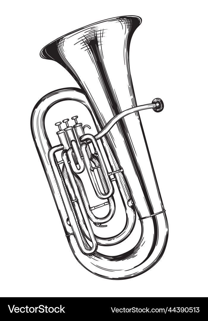 Musical instrument trumpet Royalty Free Vector Image