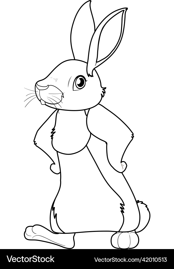 Rabbit doodle outline for colouring Royalty Free Vector