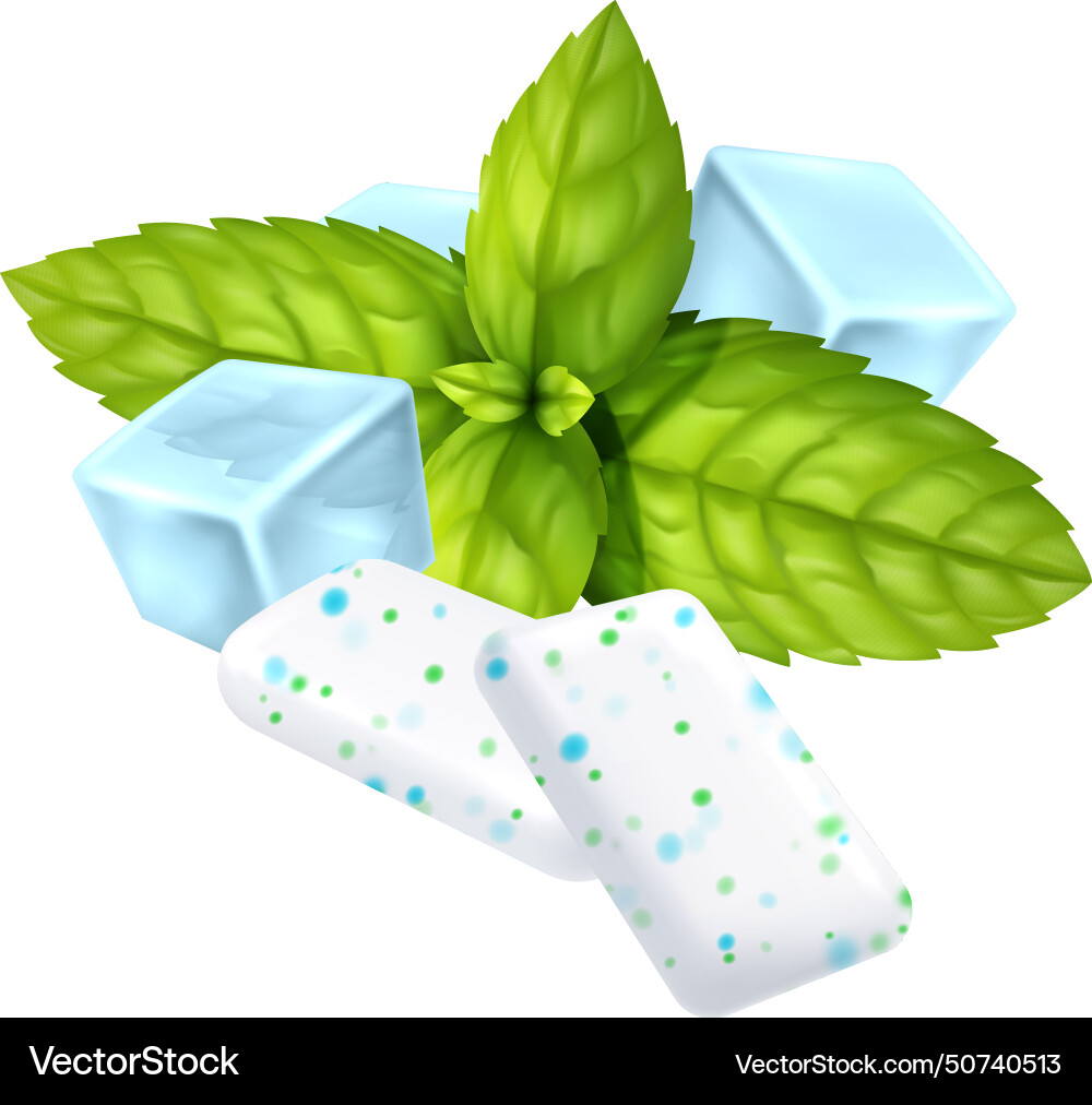 Realistic chewing gum Royalty Free Vector Image