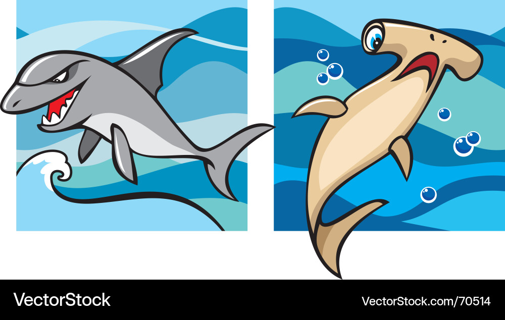 Marine life sharks Royalty Free Vector Image - VectorStock