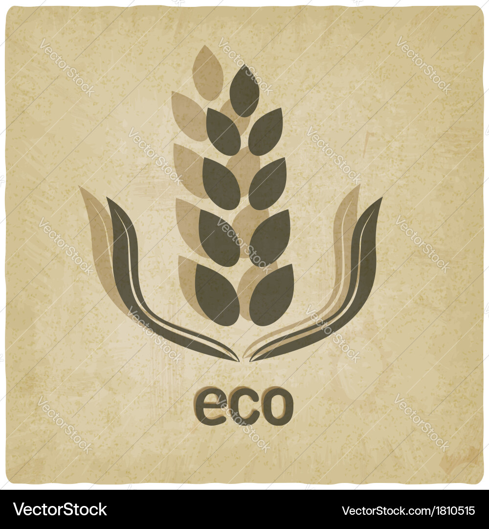 Rustic Grain Background Royalty Free Vector Image