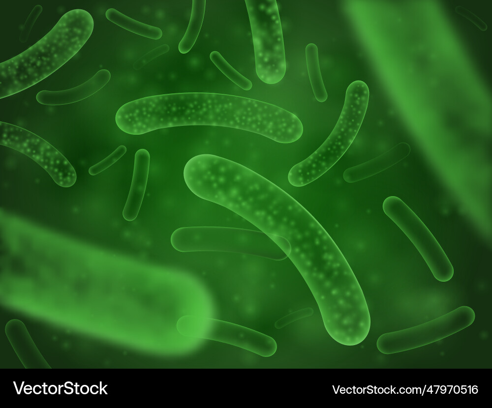 Bacteria biological concept micro probiotic Vector Image