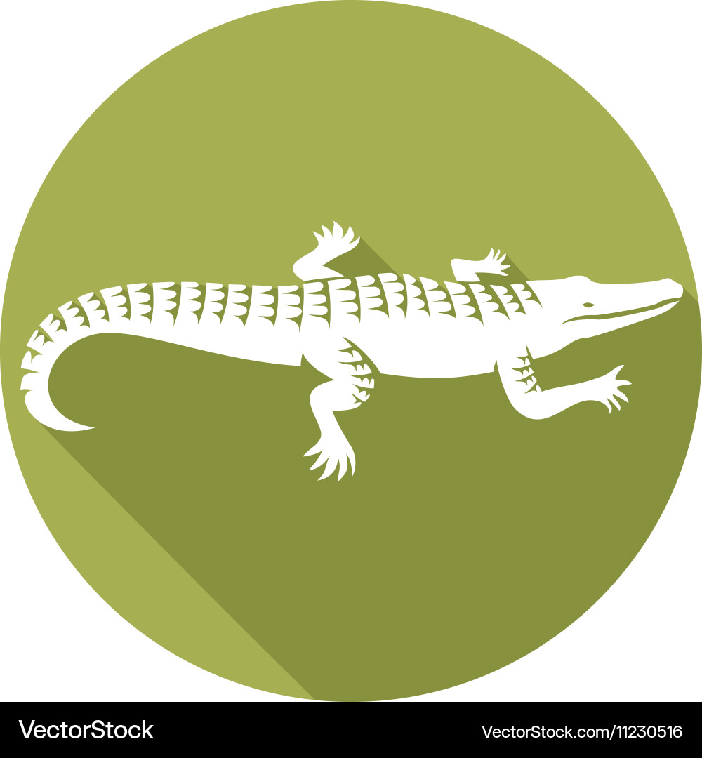 Crocodile icon Royalty Free Vector Image - VectorStock