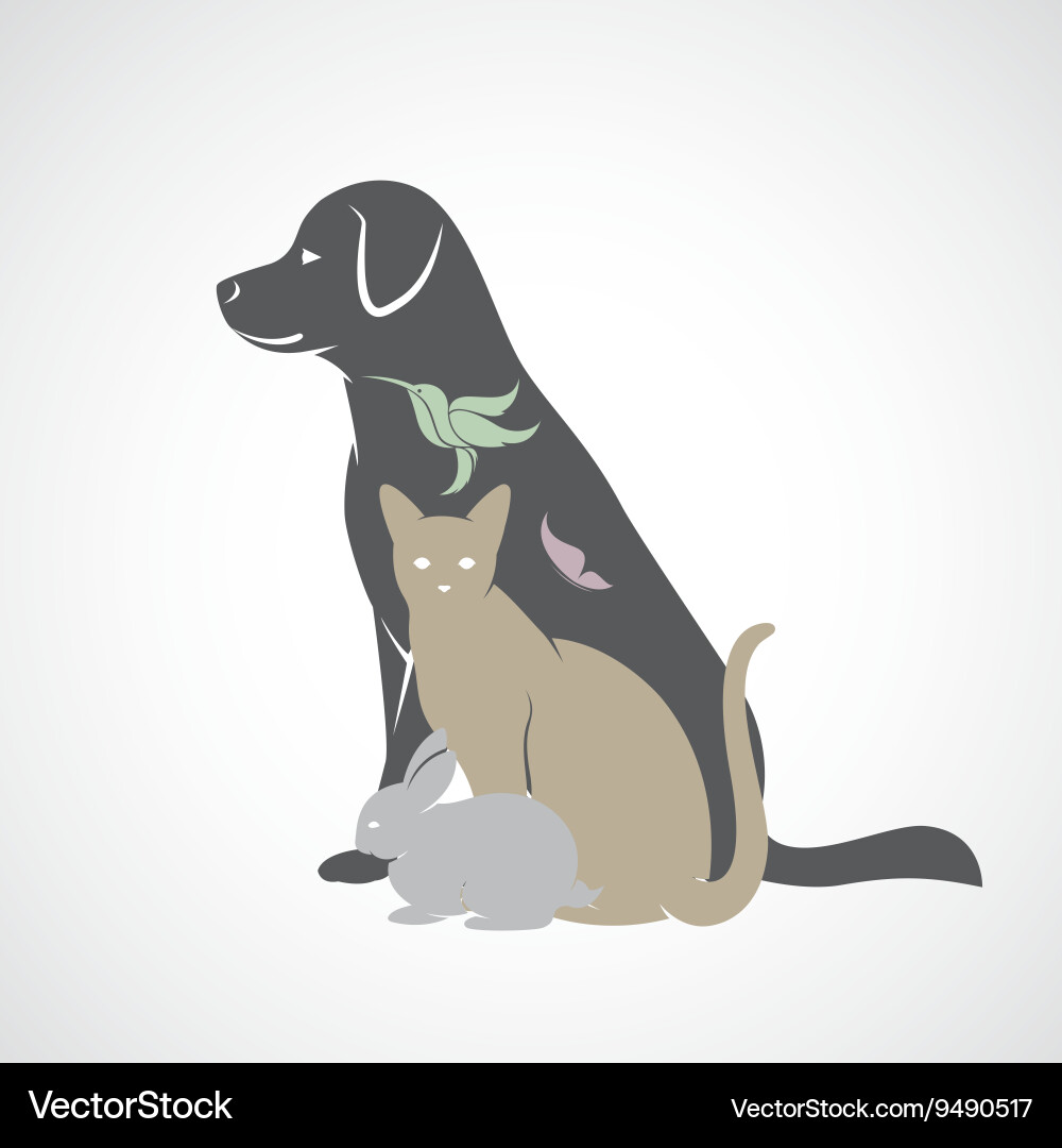 Group of pets Royalty Free Vector Image - VectorStock