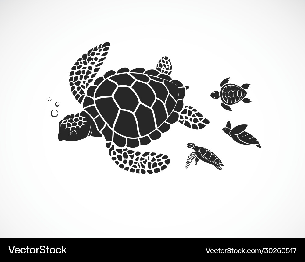 Turtle Cartoon Black and White Vector Images (over 5,500)