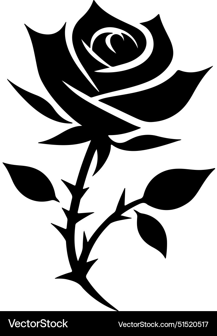Rose silhouette image flowers collection design Vector Image