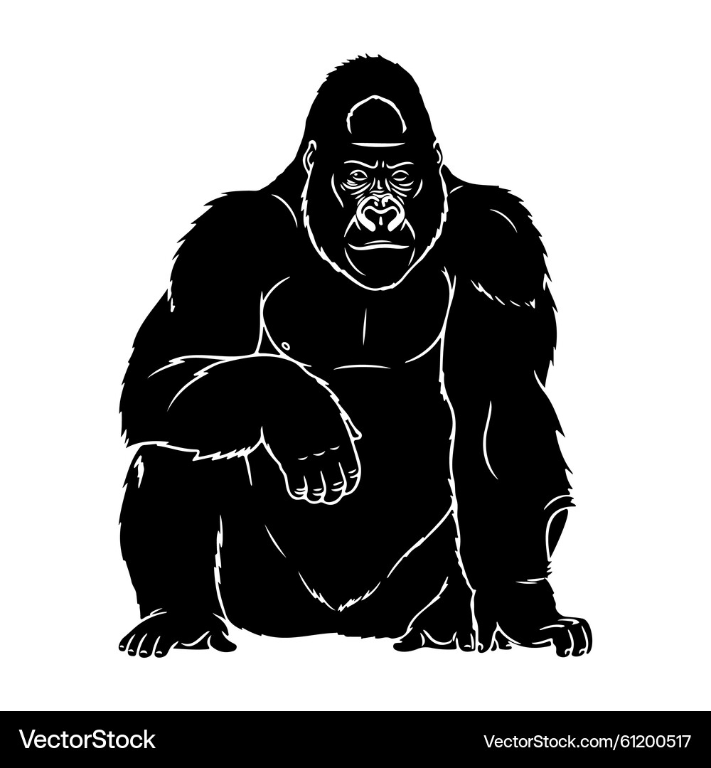 Stern Gorilla Portrait – Royalty-Free Vector | VectorStock