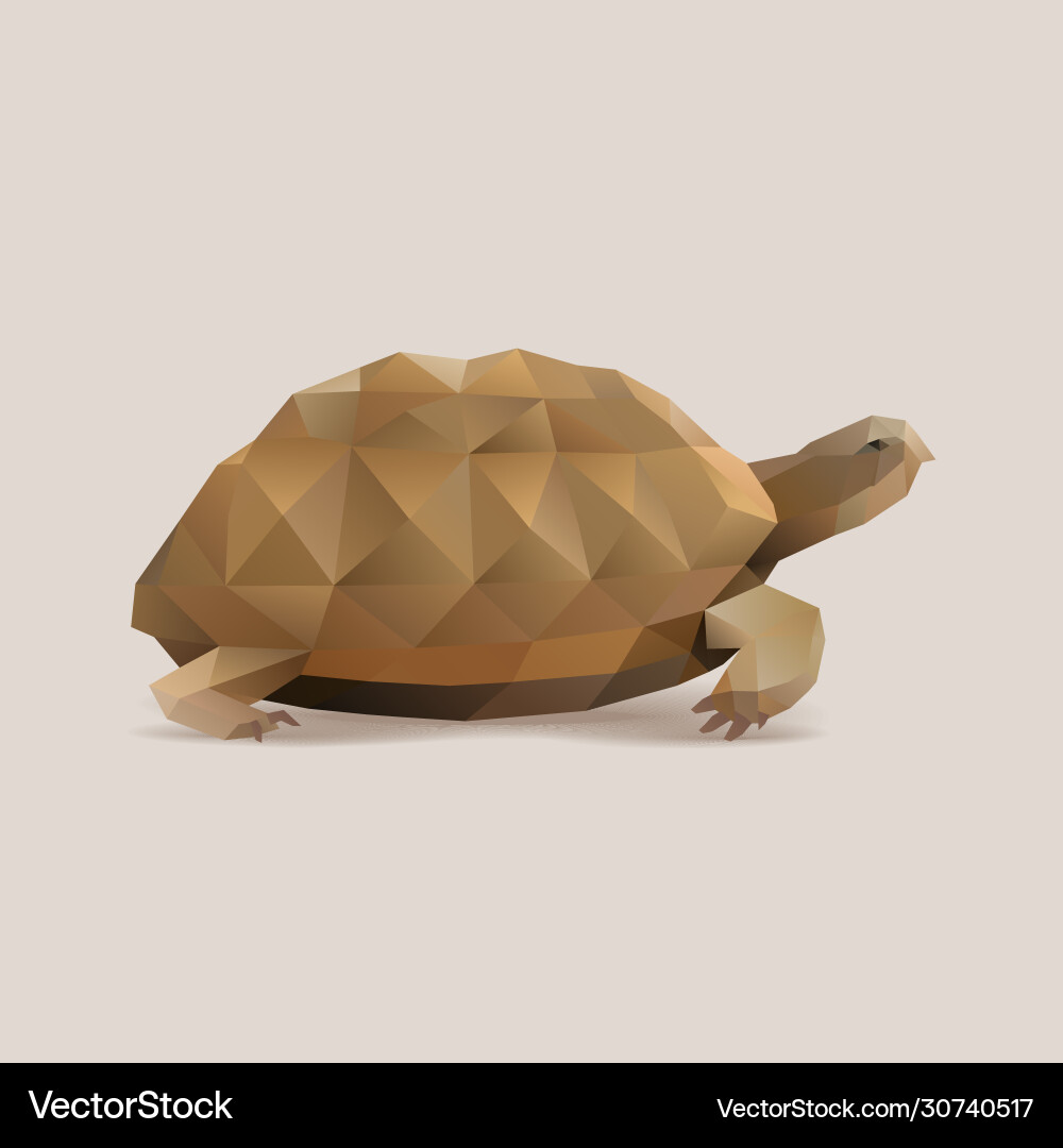 Turtle Royalty Free Vector Image - VectorStock