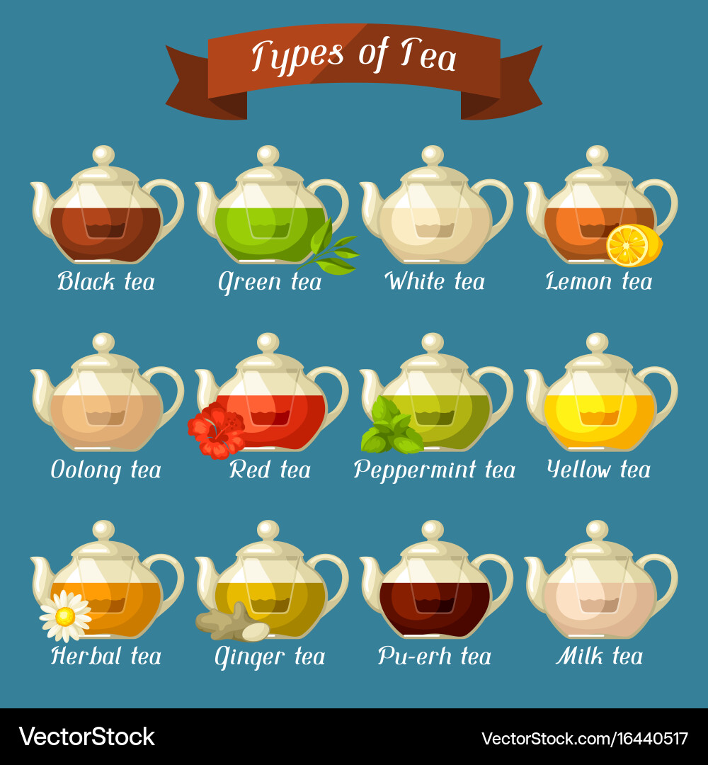 Types of tea set glass kettles with different Vector Image