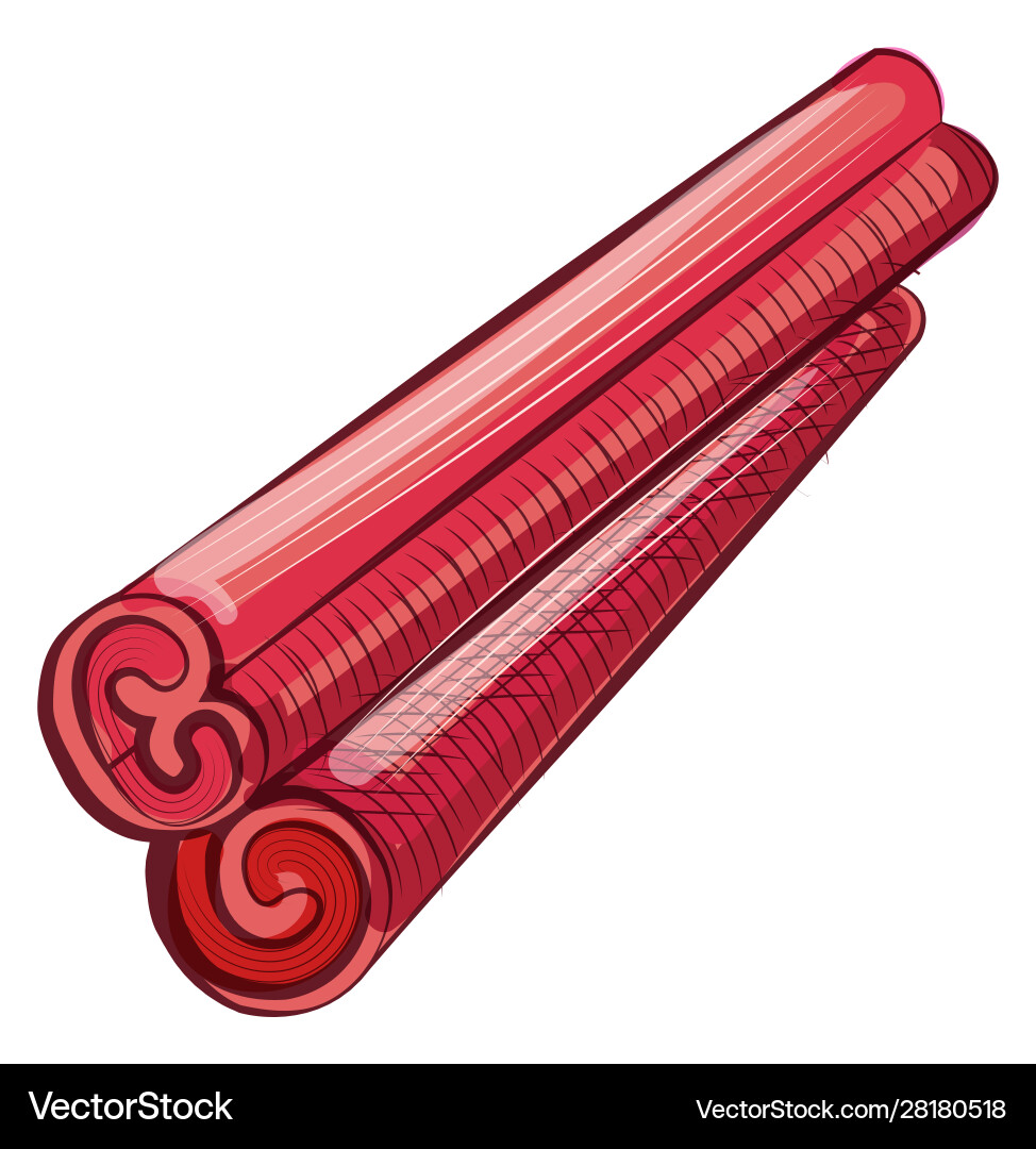 Canella stick coffee ingredient cinnamon Vector Image