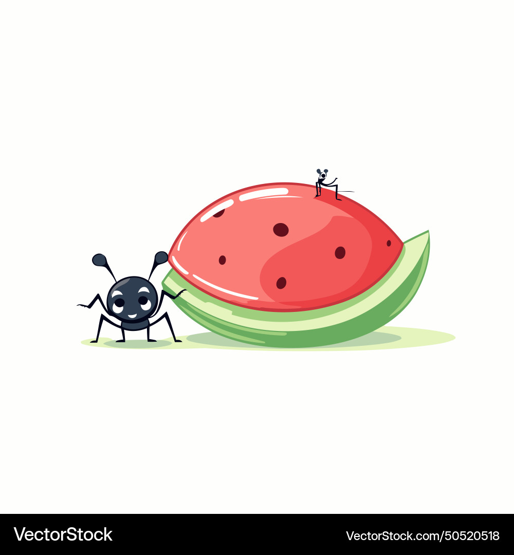 Cartoon ladybug and watermelon on white background