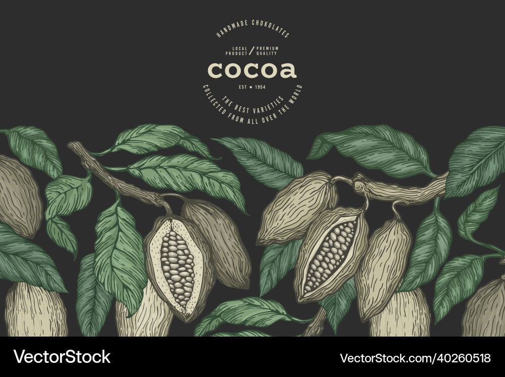 Cocoa color banner template chocolate retro Vector Image