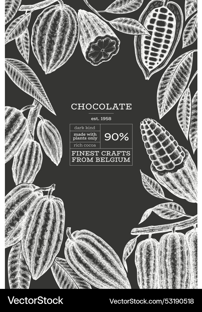 Cocoa design template chocolate beans Royalty Free Vector