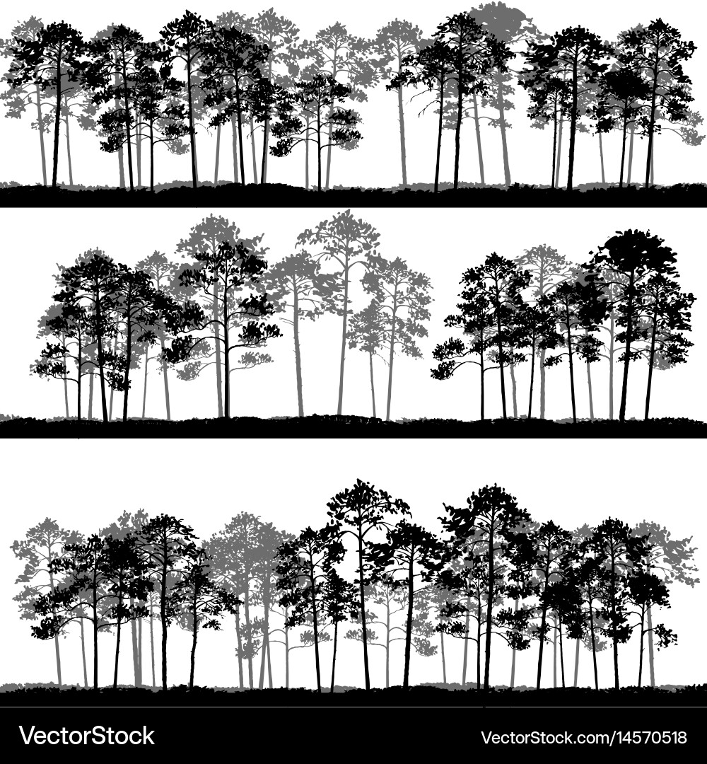 Landscapes with pine trees Royalty Free Vector Image