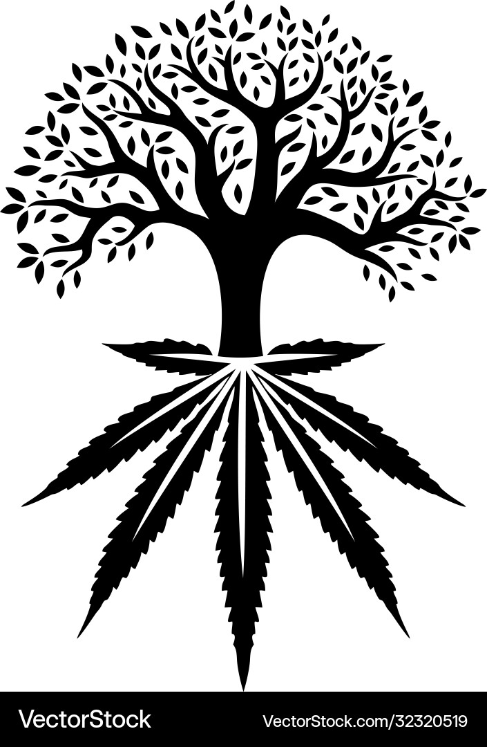 Cannabis Roots & Leaves Royalty Free Vector Image