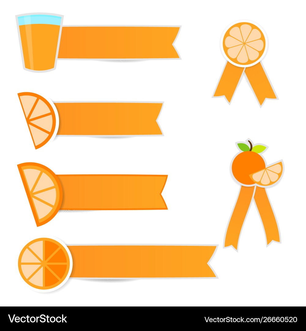 Adorable Orange Fruit Stickers with Ribbons Vector Image